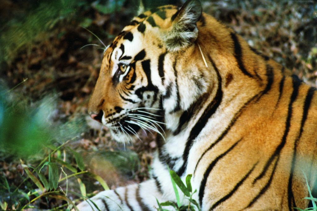 1Q2015 – Fundamatics